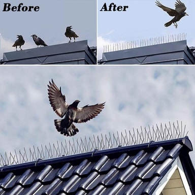 Fågelpiggar - inga fler fågelbon & bajs 15-piggar Silver - Elgiganten ...