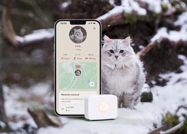 Lildog GPS-tracker för katter - Elgiganten - Elgiganten